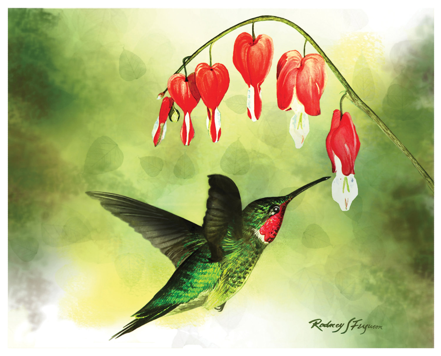 Art Prints - Rodney Ferguson Artwork
